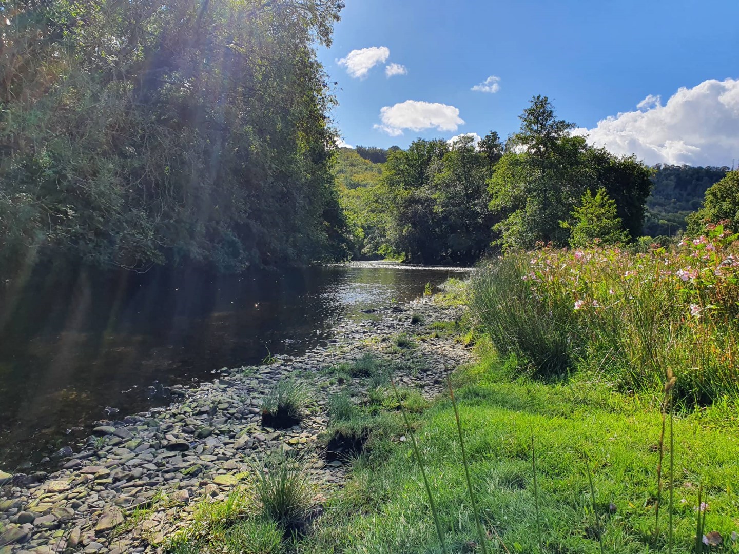 Aberystwyth River Fishing