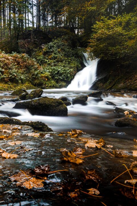 Hafod: a Paradise for walkers - Pumlumon Tourism
