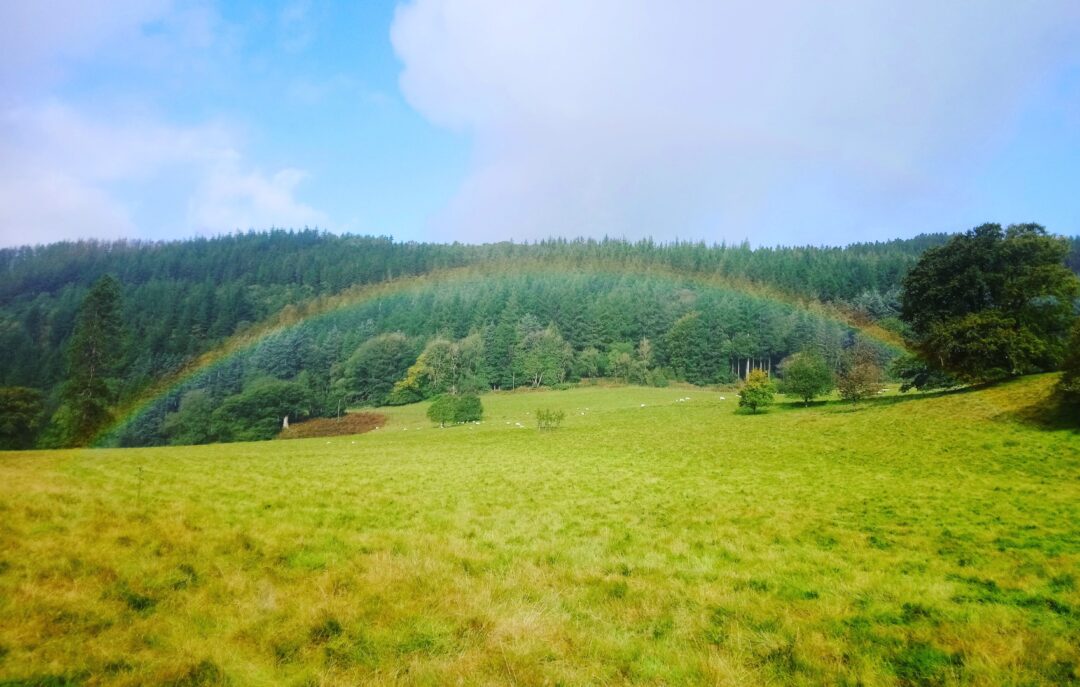 Hafod: a Paradise for walkers - Pumlumon Tourism
