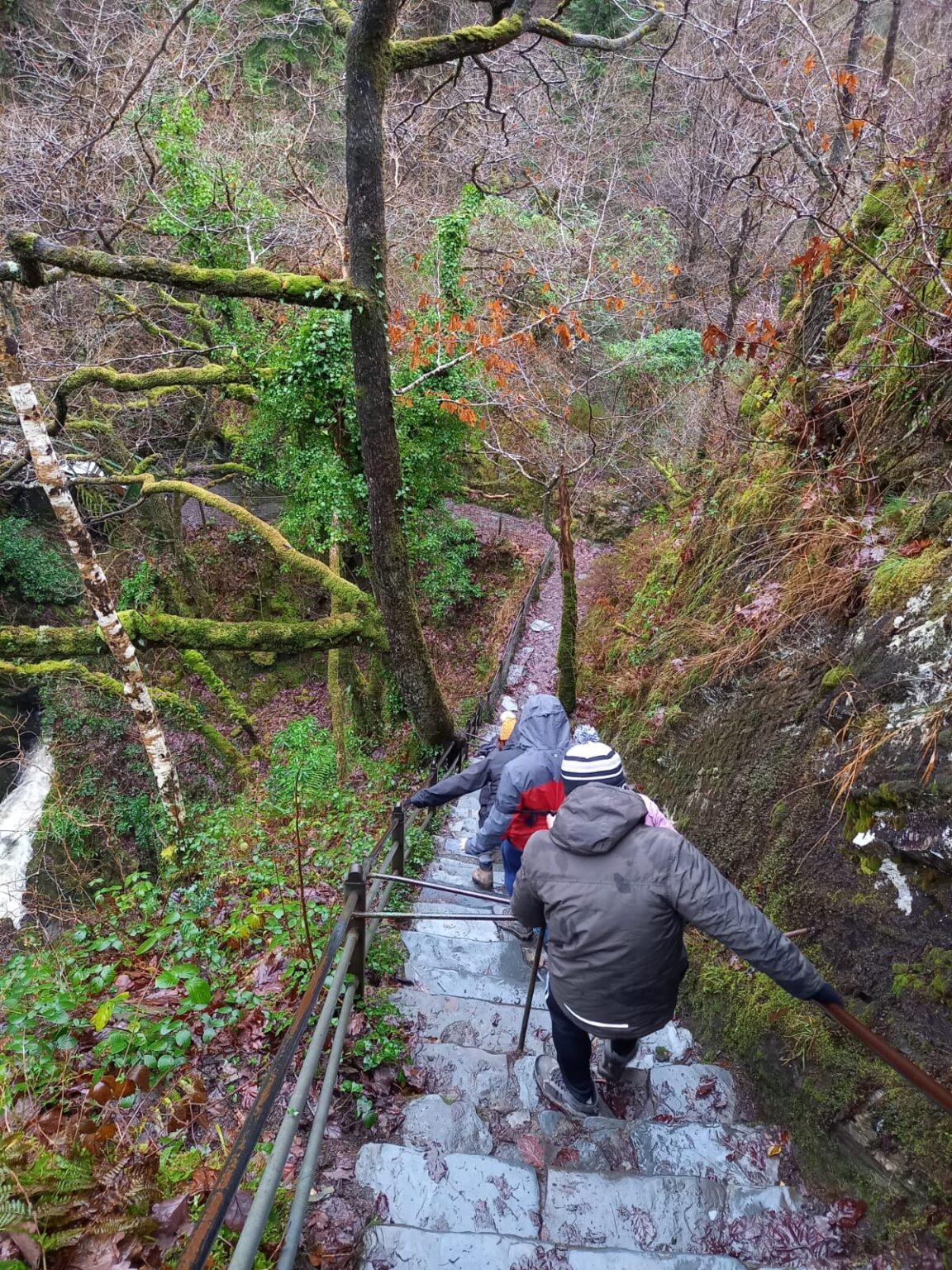 Devils Bridge Falls - Pumlumon Tourism